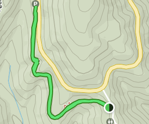 Balsam Mountain Nature Trail: 64 Reviews, Map - North Carolina | AllTrails