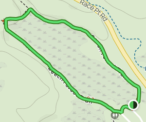 Beech Forest Trail: 250 Reviews, Map - Massachusetts | AllTrails