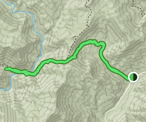 Enloe Creek Trail: 40 Reviews, Map - North Carolina | AllTrails