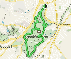 Arnold Arboretum Trail: 965 Reviews, Map - Massachusetts | AllTrails