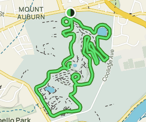 Mount Auburn Cemetery Trail: 372 Reviews, Map - Massachusetts | AllTrails