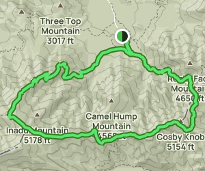 Snake Den Ridge Low Gap Trail: 105 Reviews, 976 Photos, Map - Tennessee ...