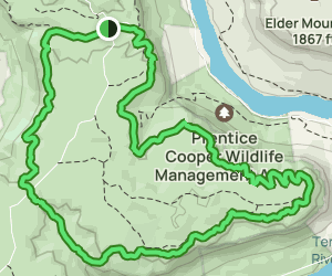 Pot Point Loop: 102 Reviews, Map - Tennessee | AllTrails