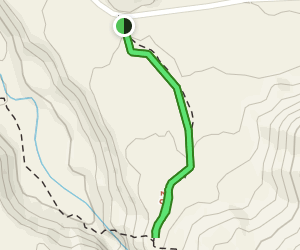 Racehorse Falls Trail: 318 Reviews, Map - Washington | AllTrails