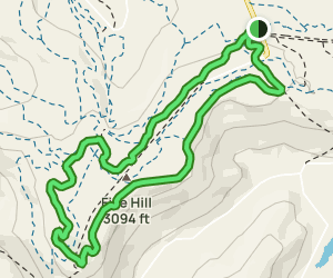 Fern, Pine Spur, and Race Trail Loop: 6 Reviews, Map - West Virginia ...