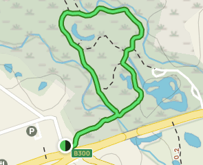 The Franklin Track and Taungurung Heritage Trail: 6 fotos - Victoria ...