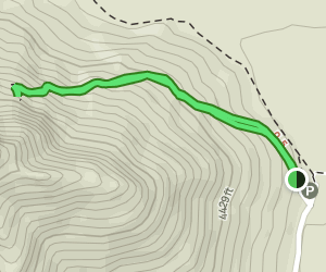 Slaughter Canyon Cave Trail: 61 Reviews, Map - New Mexico | AllTrails