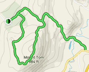 Mount Tom Preserve Loop: 29 Reviews, Map - Connecticut | AllTrails