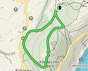 Killiney Hill, County Dublin, Ireland - 74 Reviews, Map | AllTrails