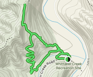 Whittaker Creek Ridge Trail: 127 Reviews, Map - Oregon | AllTrails