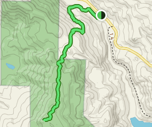 Cedar Roughs Trail: 22 Reviews, Map - California | AllTrails