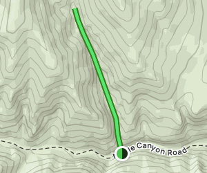 Maple's Box Canyon Trail: 169 Reviews, Map - Utah | AllTrails