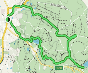 Goldfields Track, Oak Gully Road and Park Lake Loop, 155 Photos ...