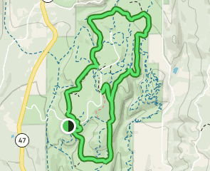 L.L. Stub Stewart State Park Loop, Oregon - 653 Reviews, Map | AllTrails