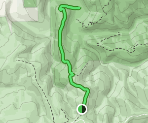 Harris Ranch Trail to Drift Creek: 146 Reviews, Map - Oregon | AllTrails