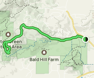 Fitton Green Trail to Allen Throop Loop, 524 Photos - Oregon | AllTrails