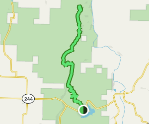 Wedington Lower Roundtop Trail: 42 Reviews, Map - Arkansas | AllTrails