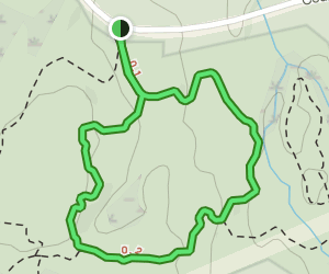 Woodland Loop Trail: 181 Reviews, Map - New Hampshire | AllTrails
