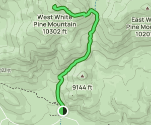West White Pine Mountain Trail: 20 Reviews, Map - Colorado | AllTrails