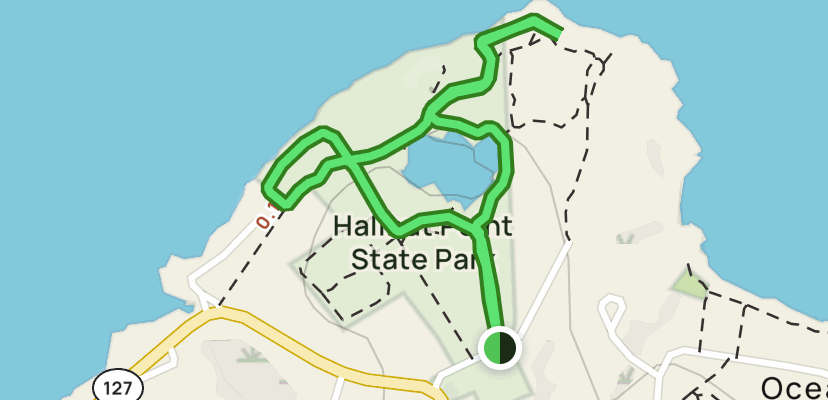 Are Dogs Allowed At Halibut Point State Park