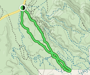 Fossil Ridge Loop: 614 Reviews, Map - Nevada | AllTrails