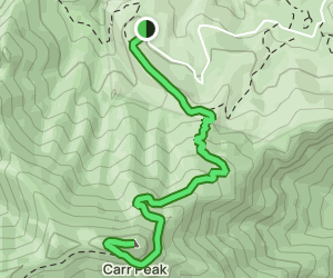 Carr Peak Trail: 240 Reviews, Map - Arizona | AllTrails