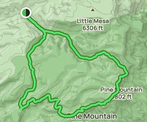 Pine Mountain Loop Trail: 23 Reviews, Map - Arizona | AllTrails