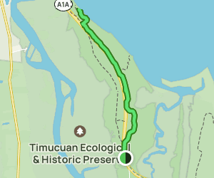Big Talbot Island Timucuan Trail: 150 Reviews, Map - Florida | AllTrails