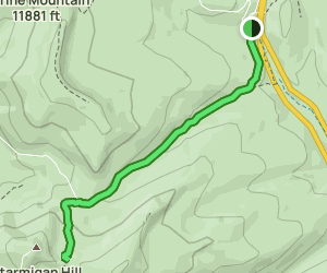 Wilder Gulch Trail: 237 Reviews, Map - Colorado | AllTrails