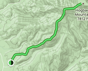 Hogback Mountain, Montana - 10 Reviews, Map | AllTrails
