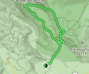 Newton Creek, Timberline Trail, and Gnarl Ridge Trail Loop: 192 Reviews ...