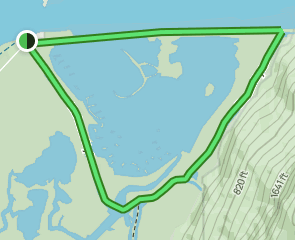 Katzie Marsh Loop: 672 foto's - Brits-Columbia, Canada | Wandelen ...