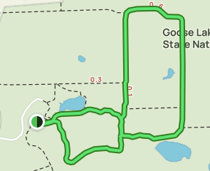 Tall Grass Nature Trail, Marsh Loop, and Rectangle Trail: 92 fotos ...