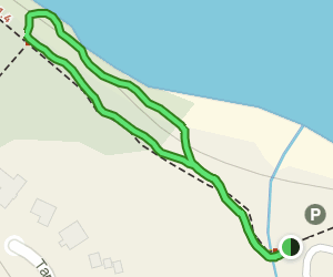 The Wanaka Tree Walk: 47 Reviews, Map - Otago, New Zealand | AllTrails