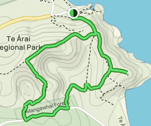 Te Arai Regional Park Walk: 5 Reviews, Map - Auckland, New Zealand ...