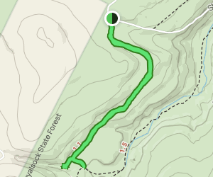 Rusty Run Falls: 49 Reviews, Map - Pennsylvania | AllTrails