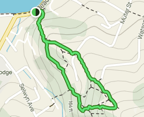 Stanley Park Loop, Canterbury, New Zealand - 11 Reviews, Map | AllTrails