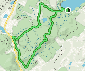 Wildcat Ridge Hawkwatch Trail: 375 Reviews, Map - New Jersey | AllTrails