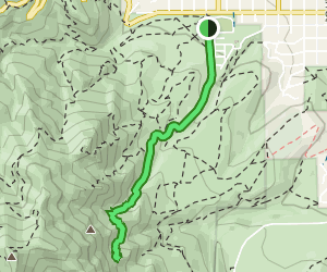 Royal Arch Trail: 13529 Reviews, Map - Colorado | AllTrails