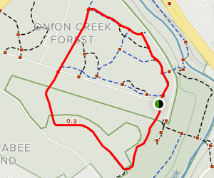 Onion Creek Forest Loop - Texas | AllTrails