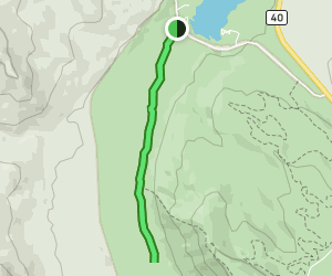 Joachim Valley Trail to Airplane Wreckage: 185 Reviews, Map - Alberta ...