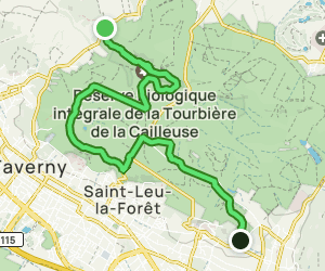 Crossing the Montmorency forest via the Cailleuse peat bog: 32 Reviews ...