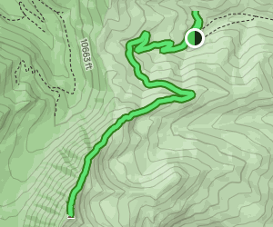 Byers Peak Trail: 319 Reviews, Map - Colorado | AllTrails