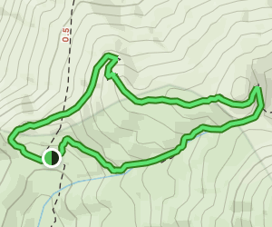 Boole Tree Loop Trail: 108 Reviews, Map - California | AllTrails