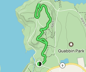 Quabbin Hill Trail: 398 Reviews, Map - Massachusetts | AllTrails