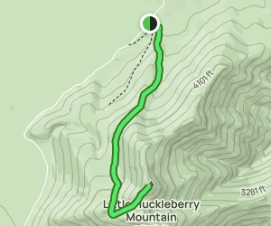 Little Huckleberry Trail: 118 Reviews, Map - Washington | AllTrails