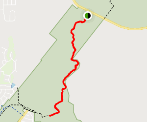 Cross Florida Greenway: Marshall Swamp Trail | Map, Guide - Florida ...