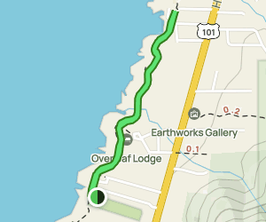 Yachats Oregon Coast Trail 804: 251 Reviews, Map - Oregon | AllTrails