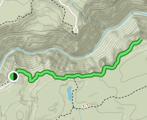 Point Sublime via Artist Point, Montana - 558 Reviews, Map | AllTrails