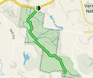 Eumundi Centre Track via Backbutt Track and Ironbark Trail: 66 foto's ...